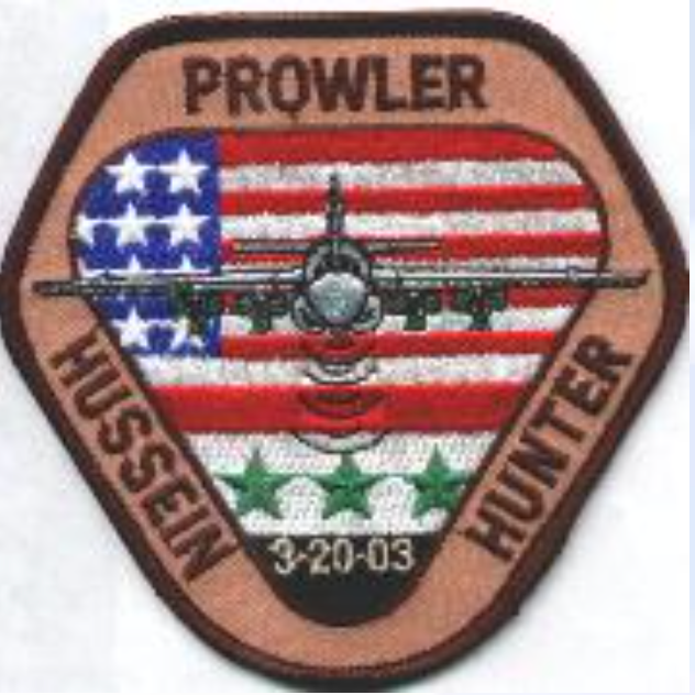 4" NAVY EA-6B PROWLER HUSSEIN HUNTER EMBROIDERED PATCH | eBay