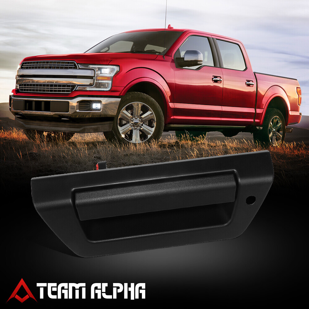 Fit 2015-2020 Ford F150 Rear Back Door Tailgate Handle w/ Keyhole ...