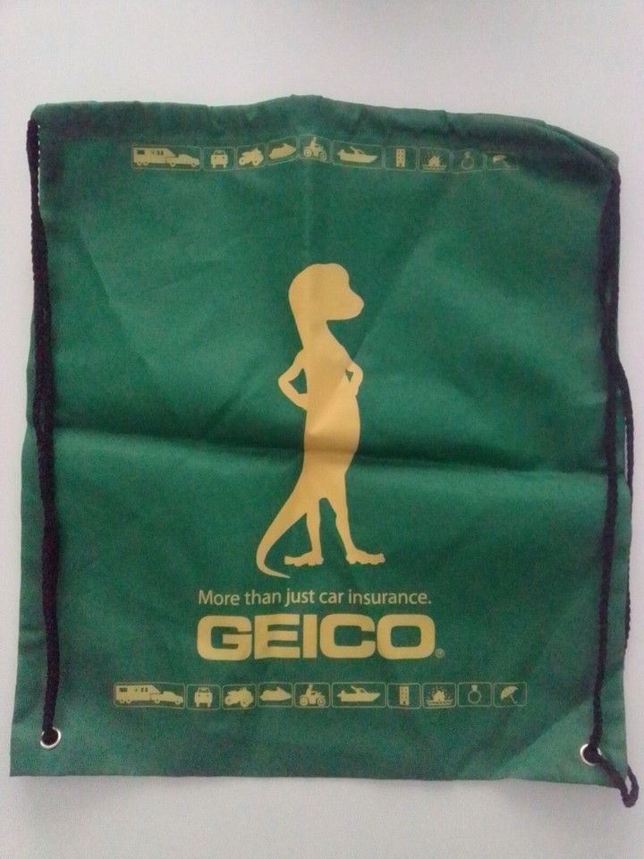 Geico Gecko Drawstring Backpack – Promo Swag Gym/Campus Bag – Cute ...