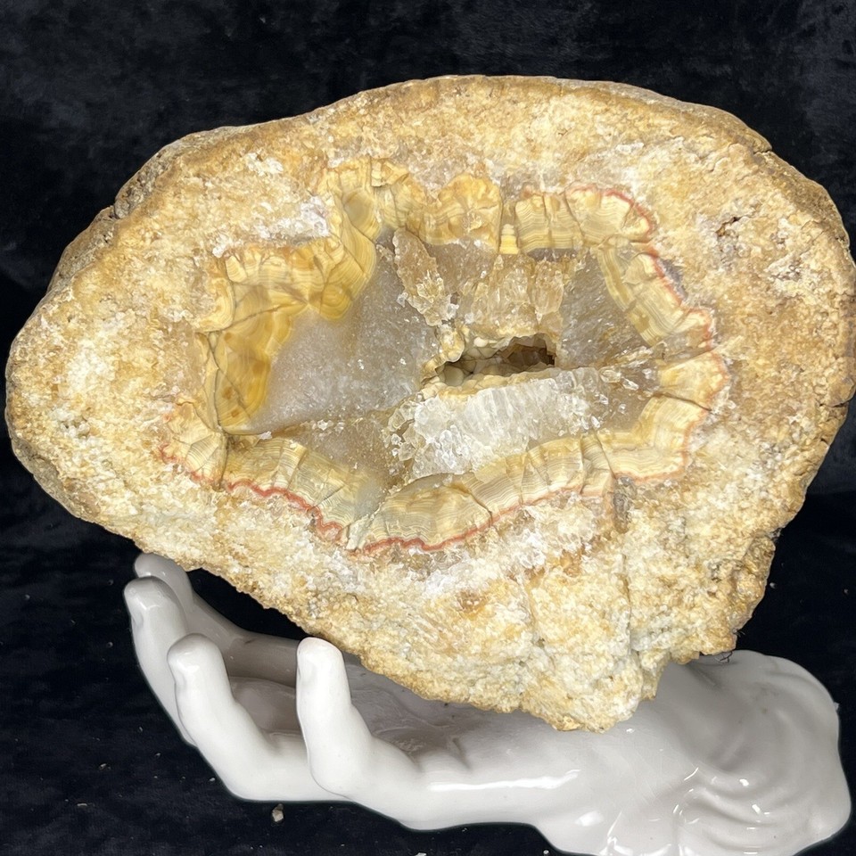 7” Large Geode Yellow Red Orange Chalcedony Agate Lapidary Rough 7.9Lb ...