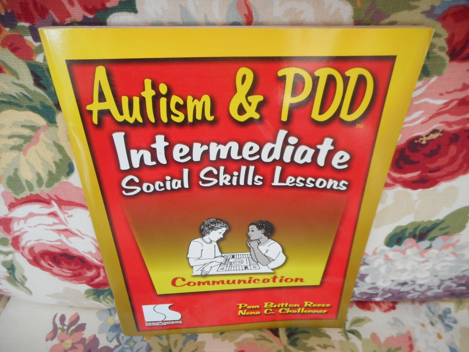 Autism and PDD Intermediate Community by Pam Britton Reese and Nena ...