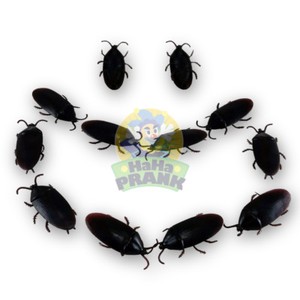 12 Fake Cockroaches - Realistic Rubber Cockroach Prank Gag Joke ...