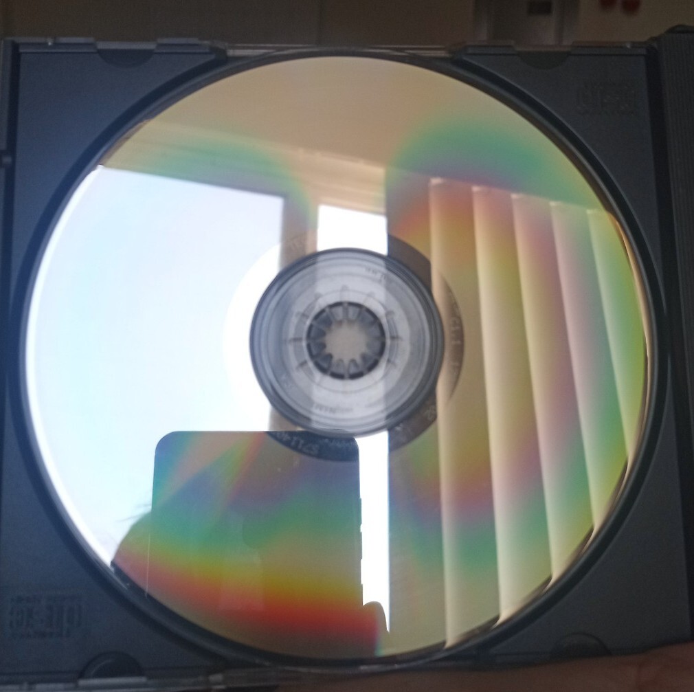 Diablo II (PC CD-ROM, 2000) Blizzard Windows 2000/98/95/NT, Mac *FREE ...