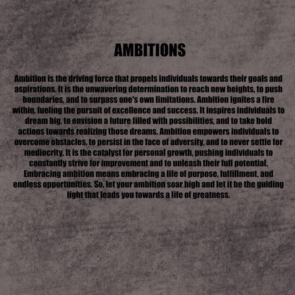 Ambition Shirt, Tshirt, Motivational Custom Made Screen Printed XL ...