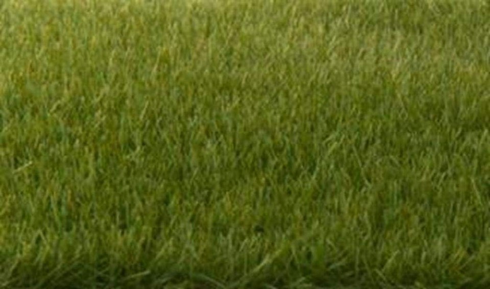 Woodland Scenic Static Grass 4mm-Dark Green -FS617 724771006176| eBay