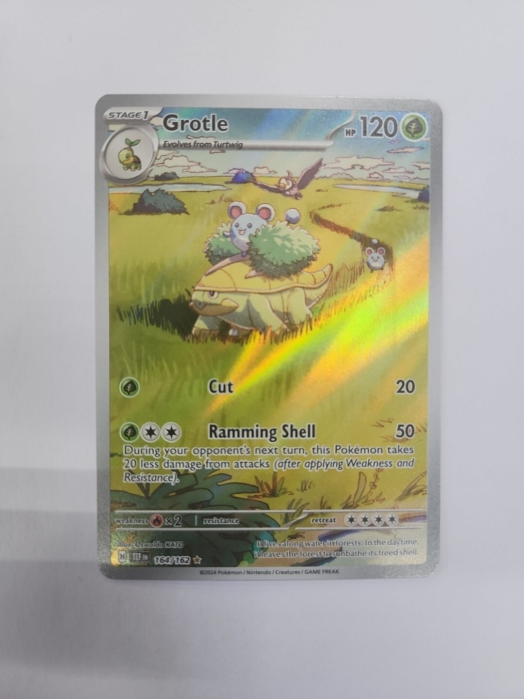 Grotle 164/162 Illustration Rare Pokémon TCG SV: Temporal Forces NM | eBay