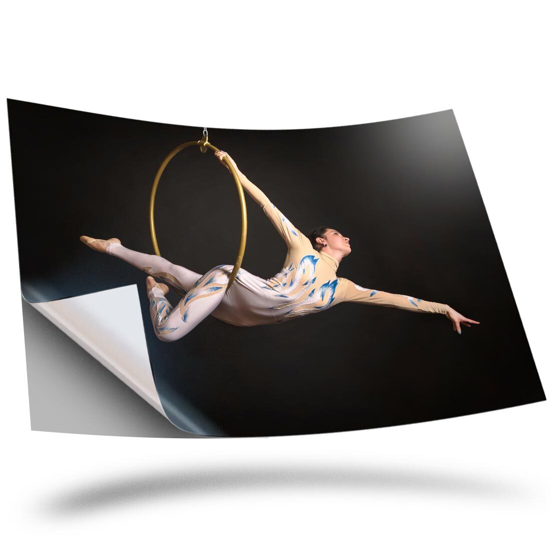 1 x Vinyl Sticker A2 - Circus Ring Acrobat Acrobatics Performer #44618 ...