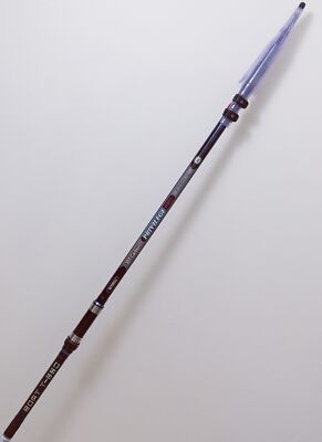 3.5 meter Telescopic Fishing Rod Carbon Fiber Portable Rod Perfect for ...