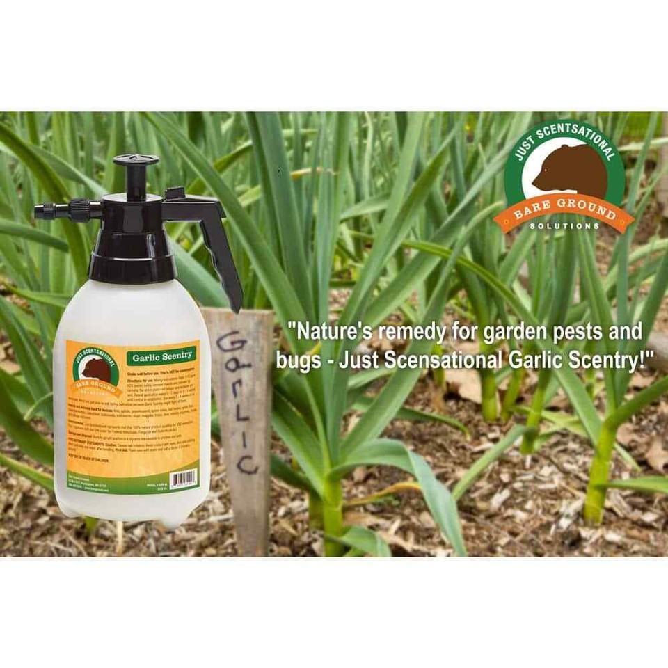 64 oz. Garlic Scentry Animal Repellent Pre-Loaded in 2 l Sprayer | eBay