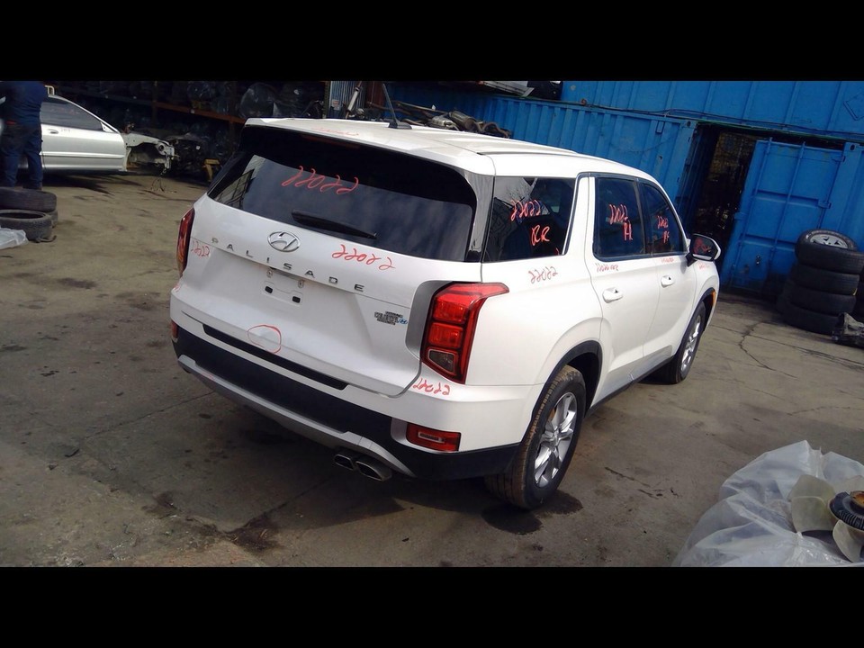 20 HYUNDAI PALISADE LOWER BUMPER GRILLE OEM 86531-S8010 | eBay