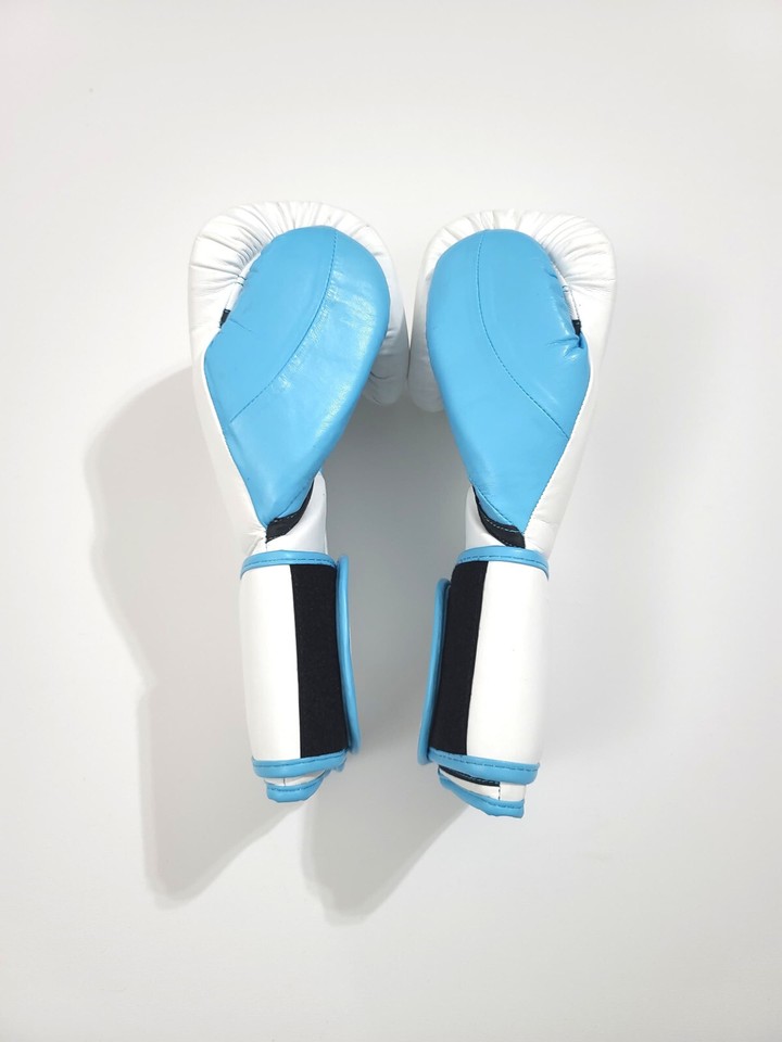 Hajime No Ippo Anime Hook & Loop Boxing Gloves Fighting Spirit First ...