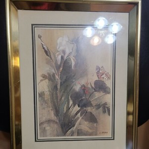 Framed Iris And Butterfly Print By L. Gaydos vintage | eBay
