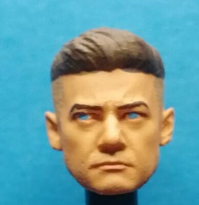 186 RONIN JEREMY RENNER custom male HEADCAST for ACTION FIGURE | eBay