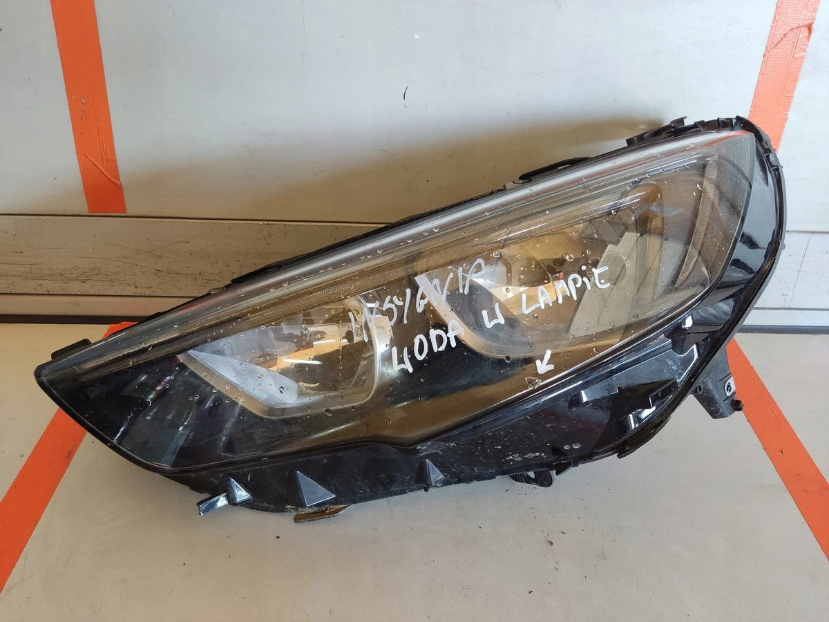 Seeanemone Lilie Galerie opel insignia a led scheinwerfer Schrein ...