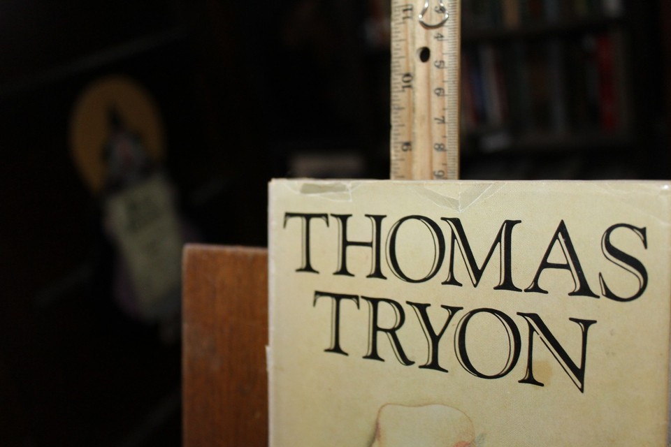 1974 Thomas Tryon Lady Hardback Dust Jacket Book Club Edition | eBay