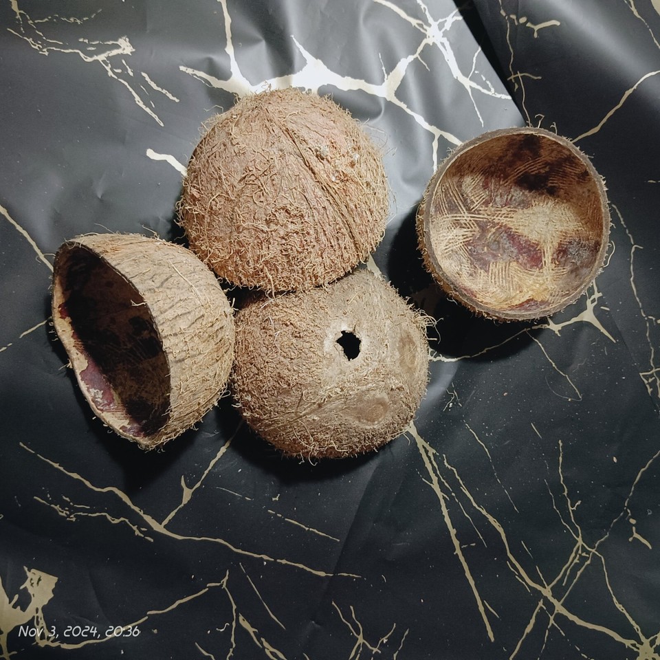 eco friendly coconut shell & multi-purpose ingredients when burned 100% ...