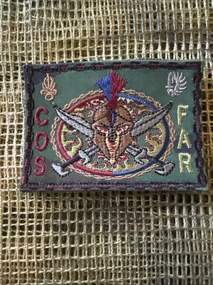 French Army COS FAR Commando Afgan War Patch -ODG Camo Patch | eBay