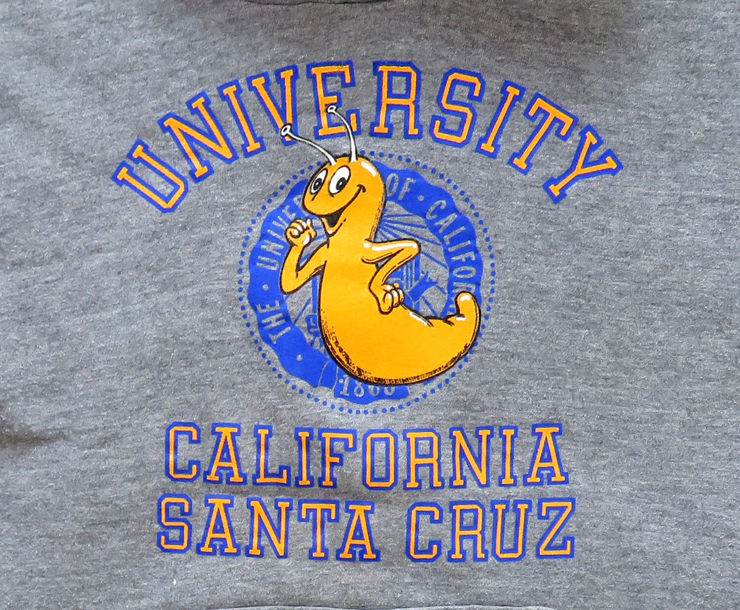 University Of California Santa Cruz Vintage Hooded Sw… - Gem