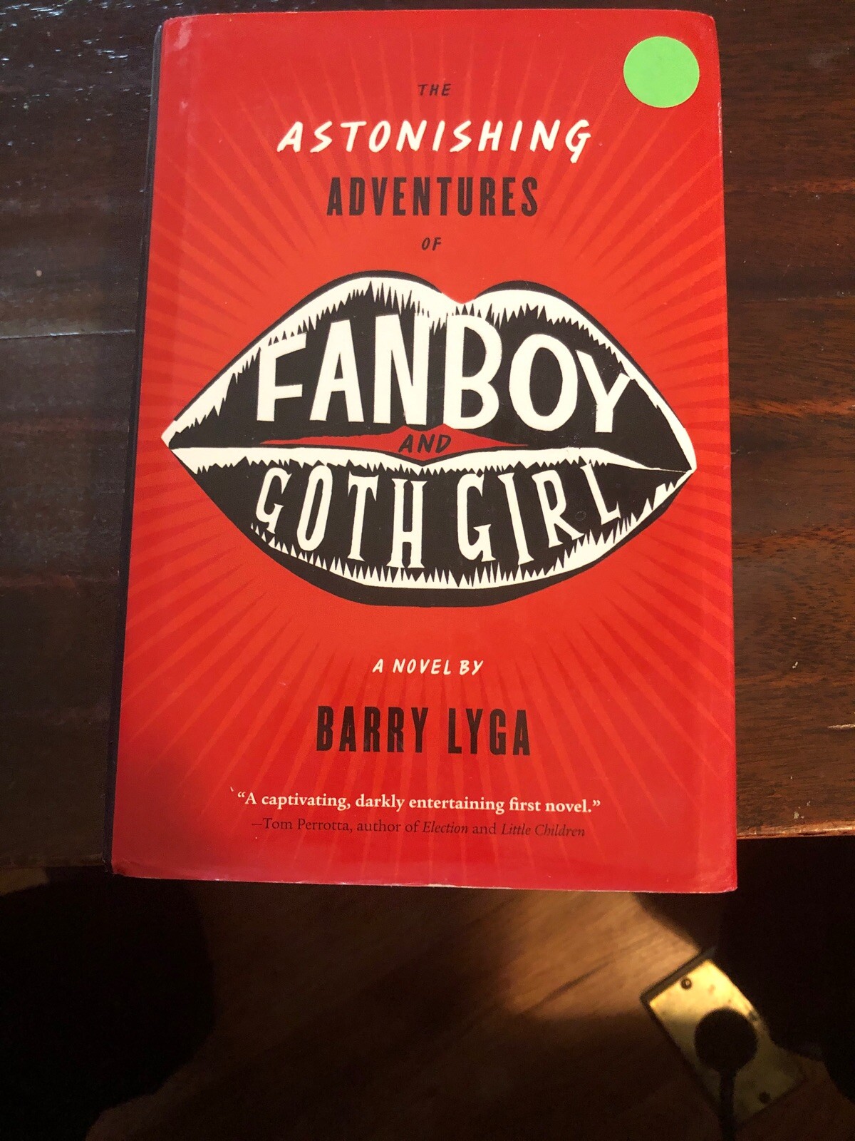 The Astonishing Adventures of Fan Boy and Goth Girl - Barry Lyga ...