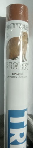 Capybara Be Cappy Wall Poster 24x34 New in Package Trends Posters ...