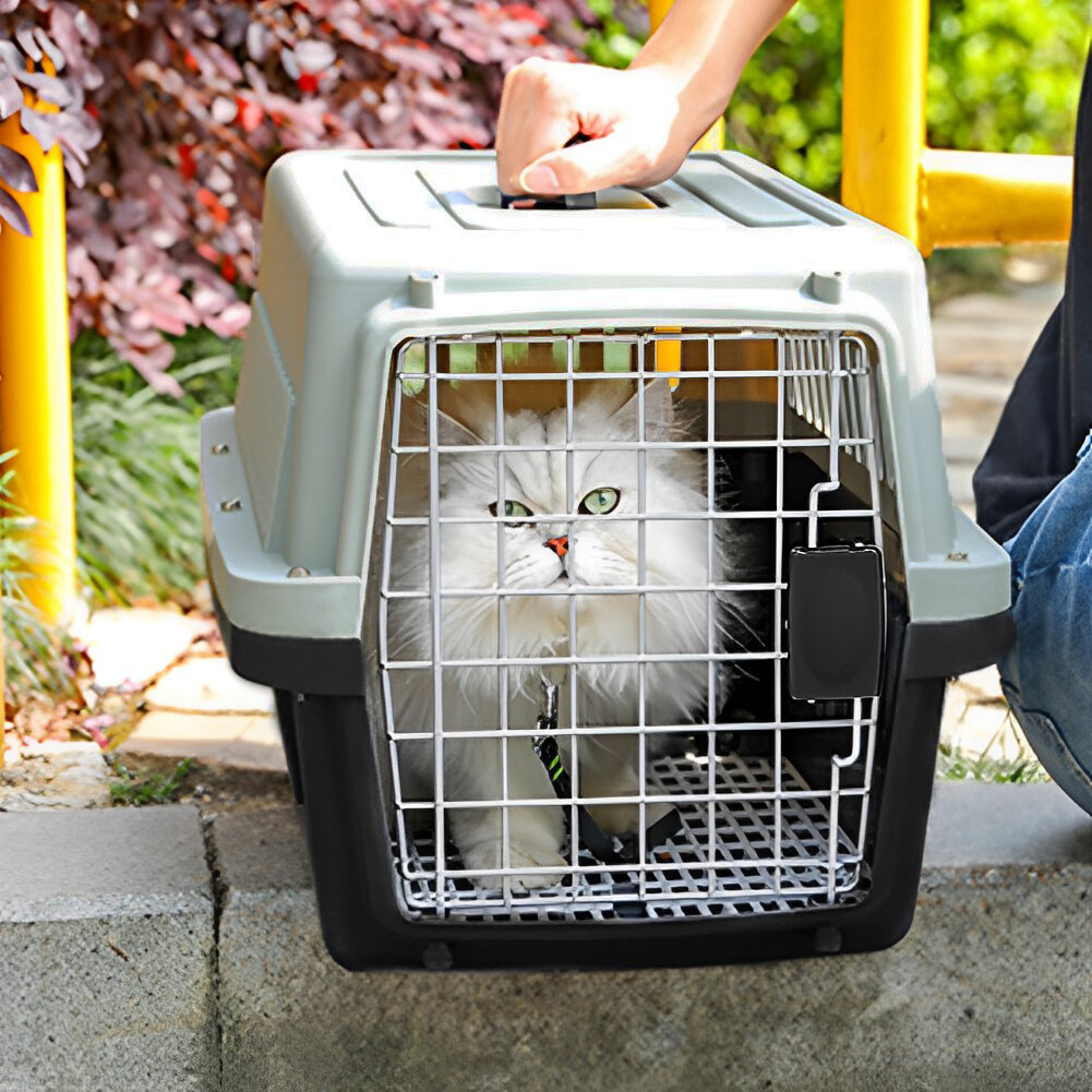 Large Cat Transporter Carrier Puppy Portable Pet Cage Box Travel Crate ...