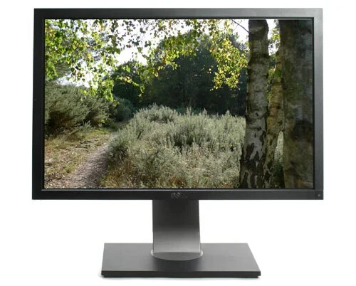 Dell u2410 store