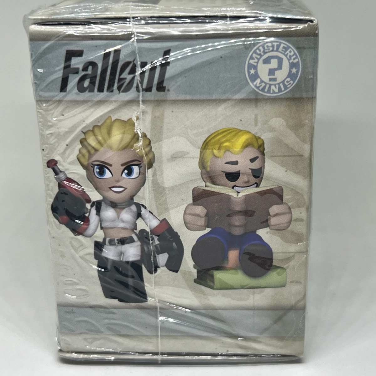 Fallout Mystery Box
