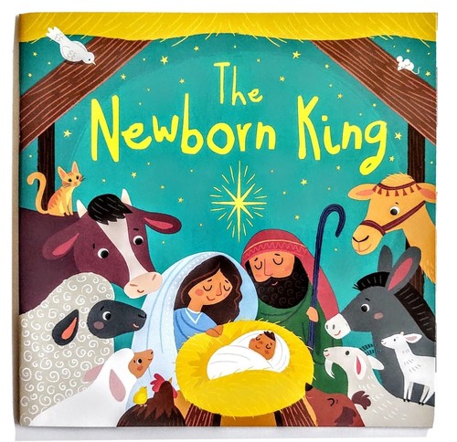 The Newborn King First Christmas Nativity Scene Baby Holiday picture ...