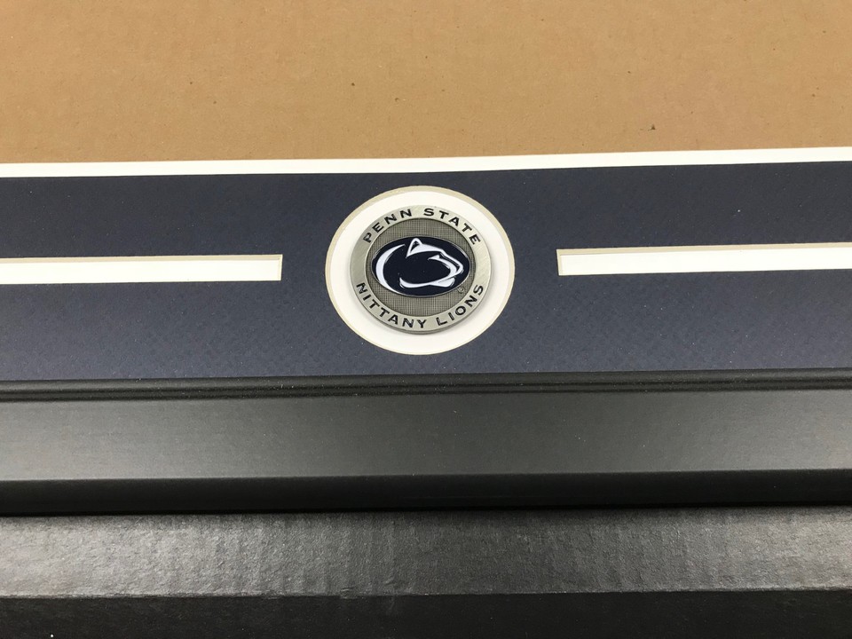 PENN STATE NITTANY LIONS Medallion Frame Kit 16x20 Photo Double Mat ...