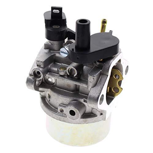 801396 Carburetor for Briggs & Stratton 801233 801255 Snowblower ...