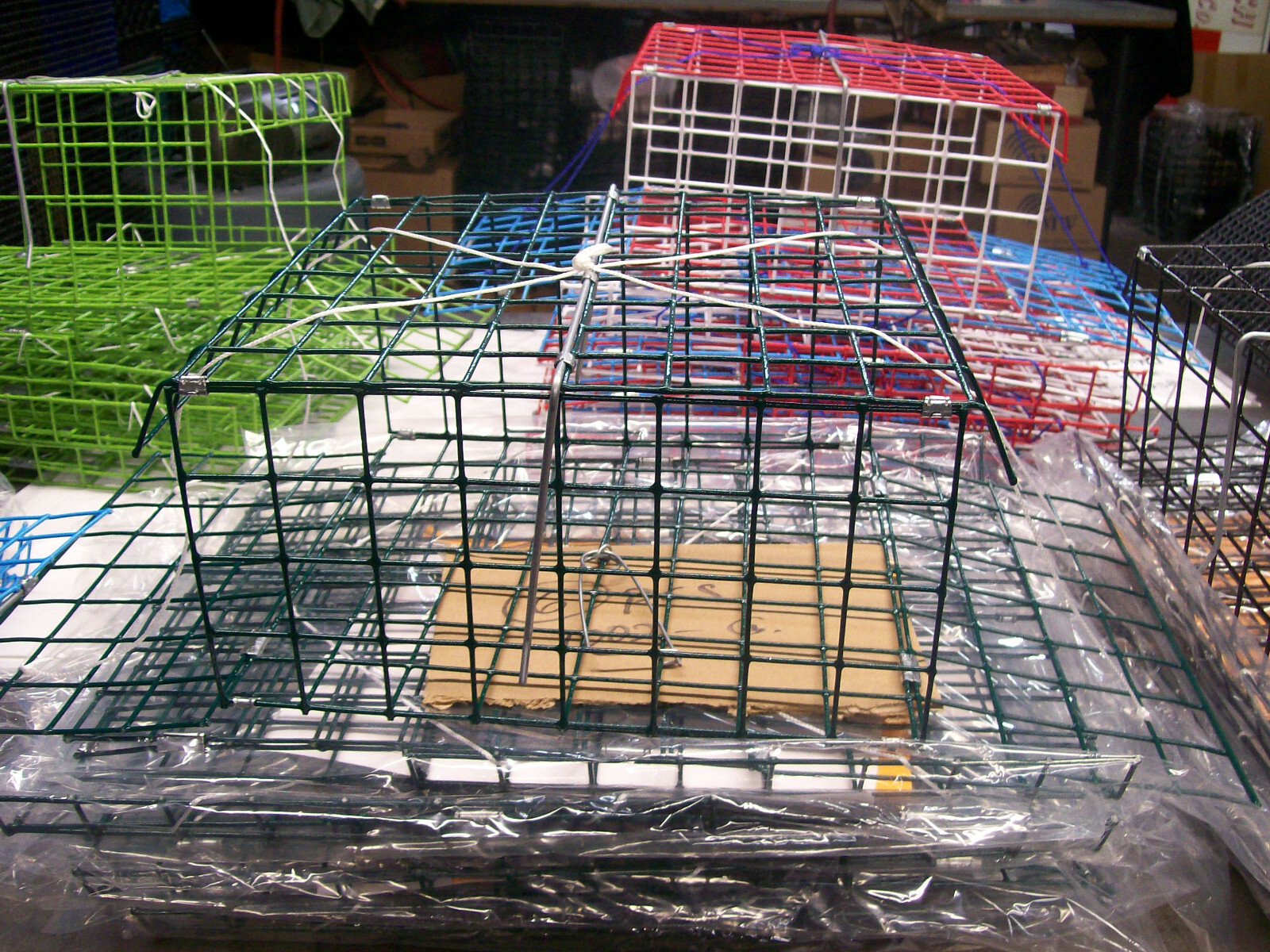 6 Pk E-Z Catch USA Premium 12" x 12" x 6" Folding Blue Crab Traps Pick ...