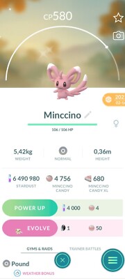 Shiny Minccino - Pokemon Trade GO Shiny | eBay