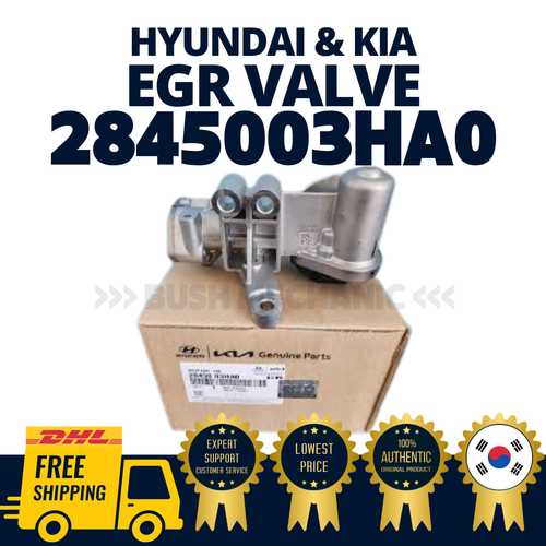 GENUINE OEM Hyundai Kia Exhaust Gas Re-Circulation Egr Valve Assy ...