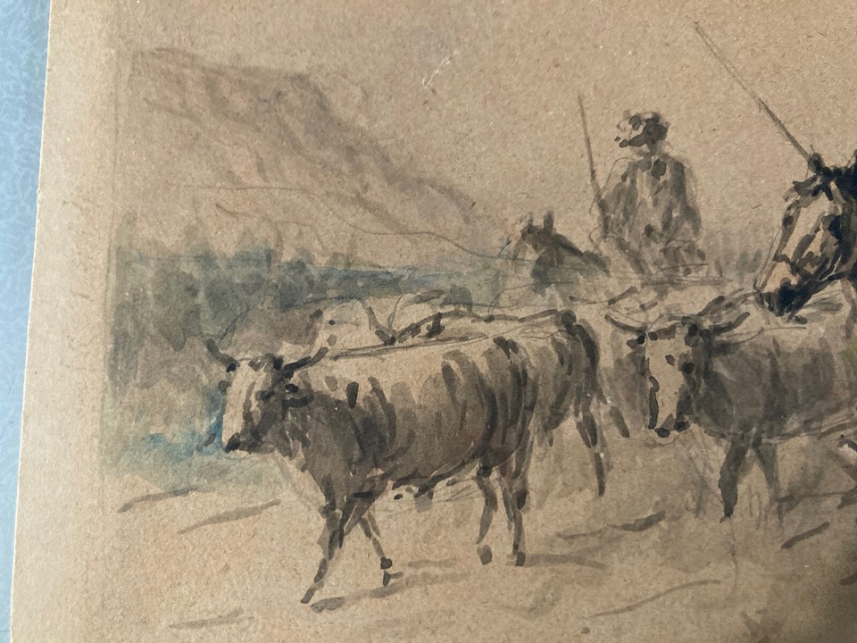 Beautiful Watercolor Drawing Cow Bull Horses Camargue 1900 Identified ...