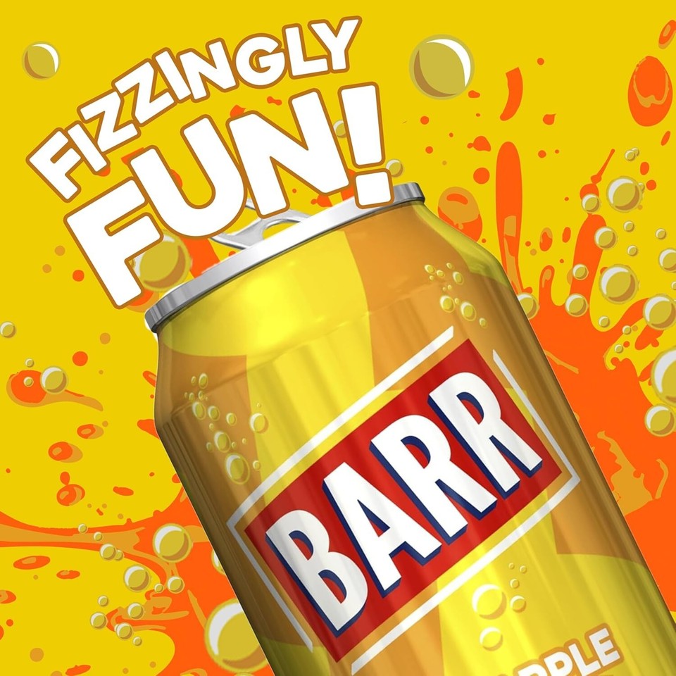 BARR since 1875, 24 Pack Sparkling Pineapple Soda, No Sugar Fizzy Drink ...