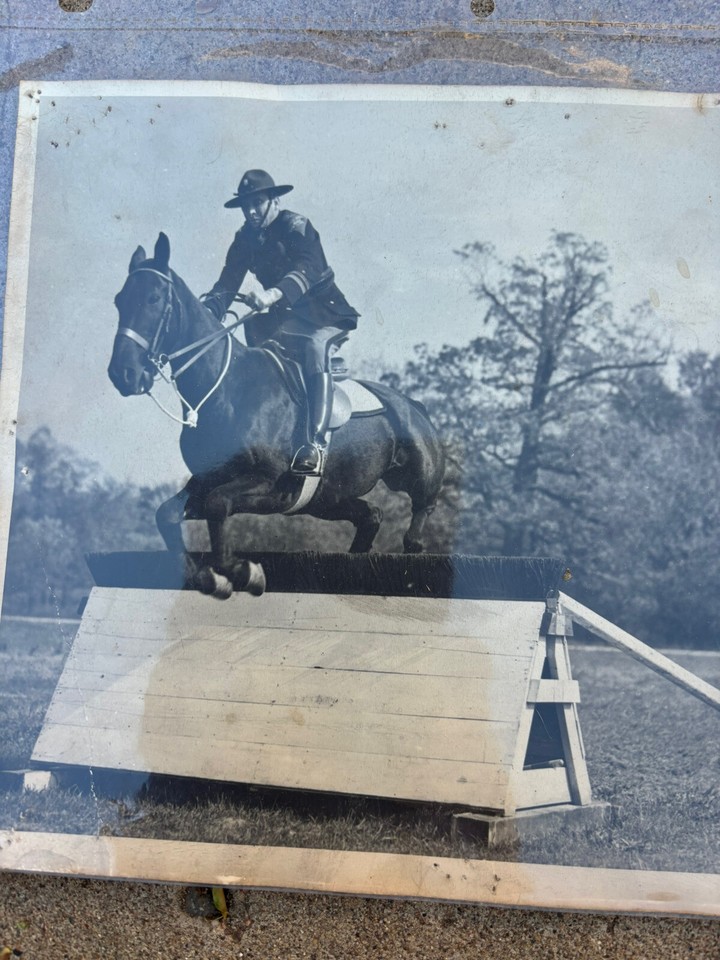 Vintage Photograph State Police Horse Jump | eBay