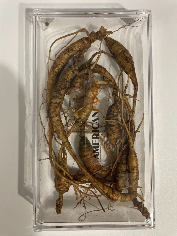 American Fresh wild Ginseng Root pure ginseng,30 ~35years, American ...