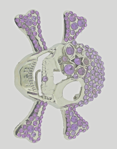 Skull Belt Buckle Crossbones Skeleton Rhinestones Purple Metal Cosplay ...