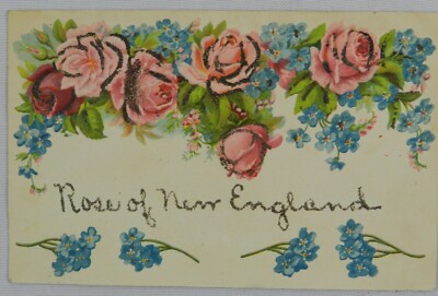 Rose of New England, Lots of Roses with Blue Pedal Flowers - Vintage ...