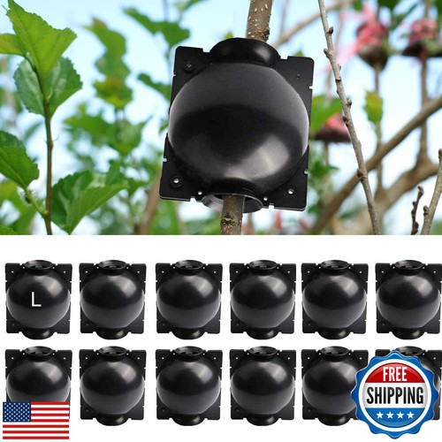 ZUCKBOX 12 PCS Plant Root Growing Box, Reusable Air Layering ...