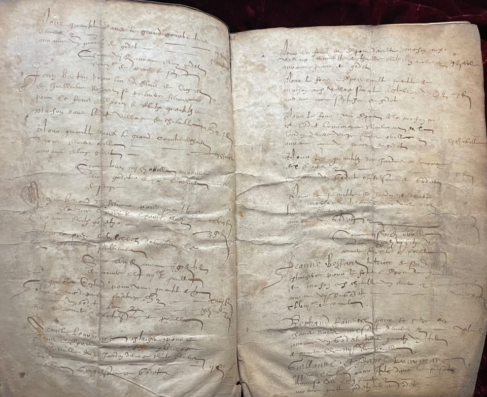 1799 FRENCH REVOLUTION ~ HANDWRITTEN MANUSCRIPT ~ VELLUM LEGAL NAPOLEON ...