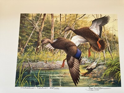 1988 Vermont Duck Stamp Print and Stamp Jim Killen Black Ducks Limited ...