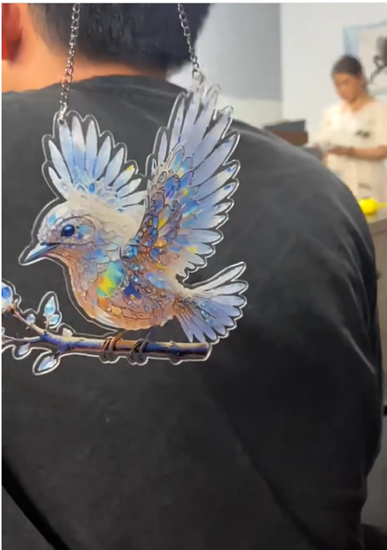 Solymall Spirit Bluebird ,2D flat Bluebird Acrylic Art Ornament | eBay UK