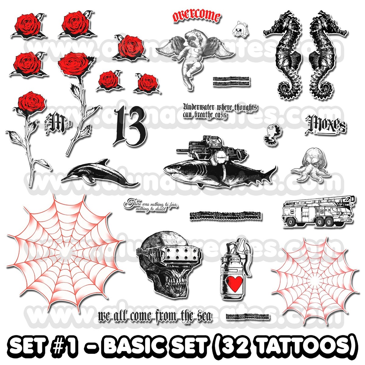 Judy Time Tattoos Profile For Judy Maxine PMU