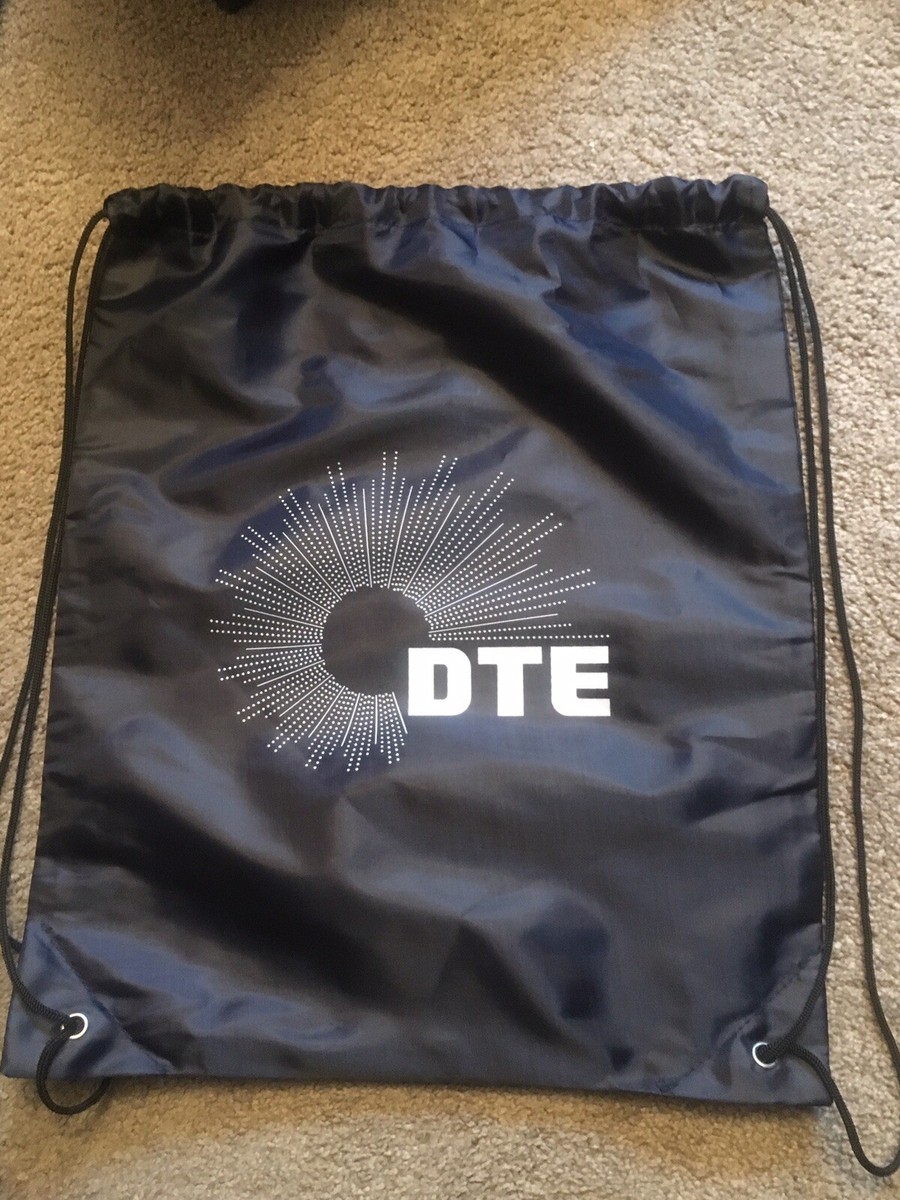 Dte Logo