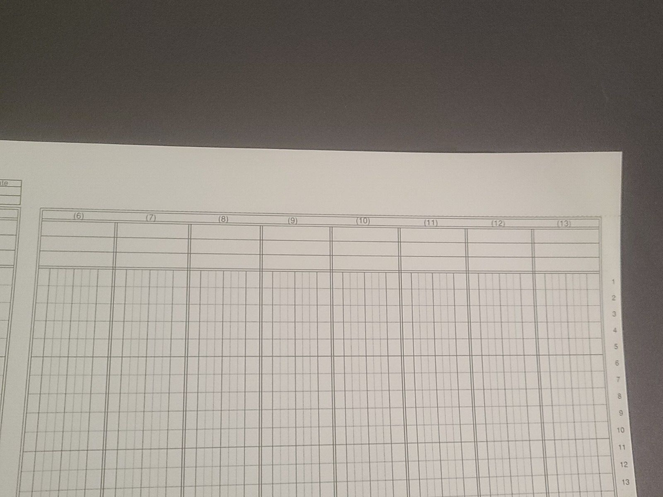 (50 SHEETS) 13 COLUMN 11 x 16 3/8" 3-ring Ledger Accounting Work GREEN ...