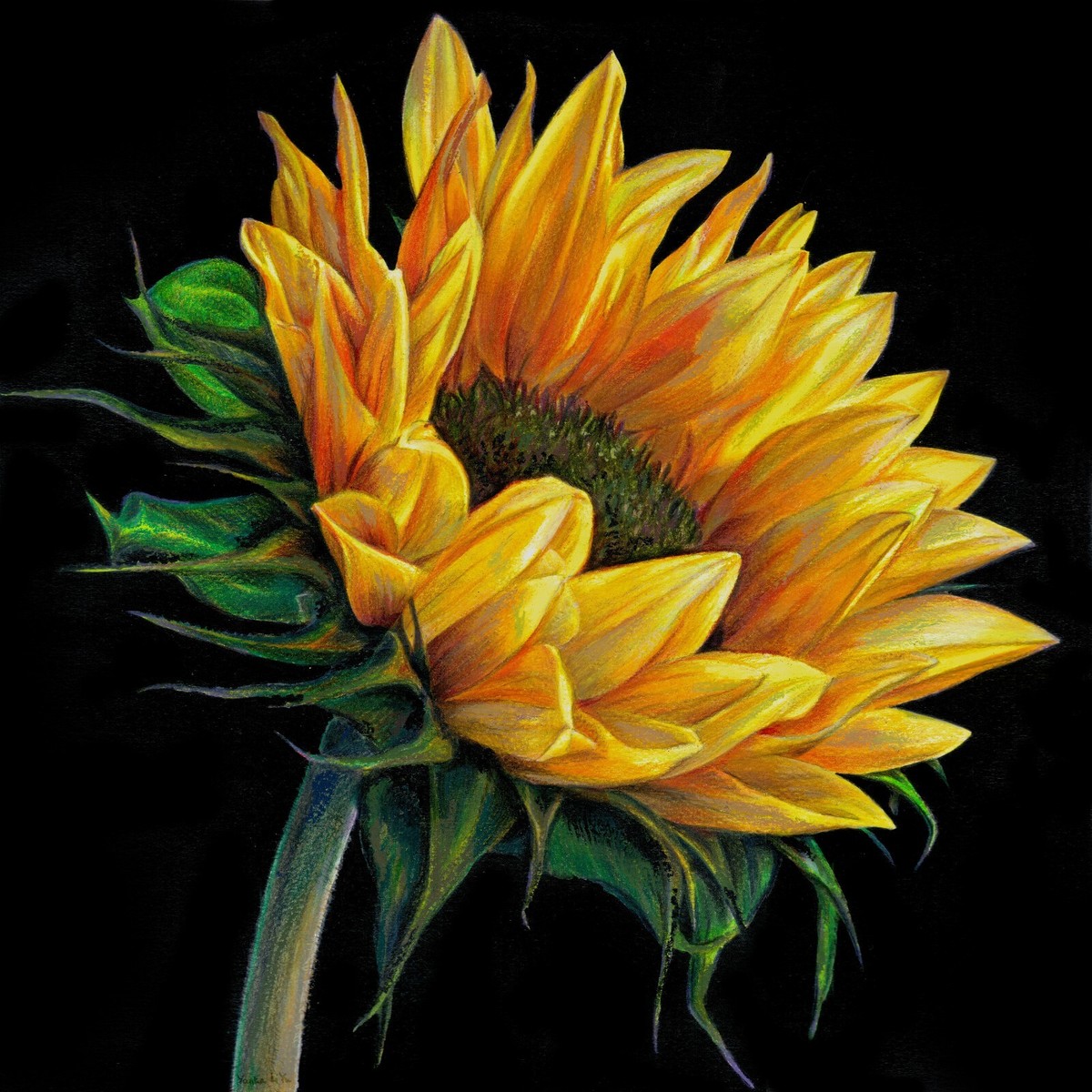 Yellow Flower Paintings