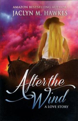 After the Wind : A Love Story by Jaclyn Hawkes (2014, Trade Paperback ...