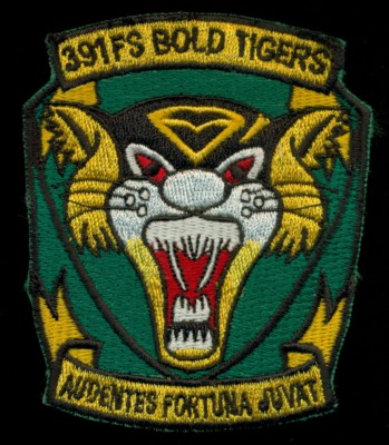 USAF 391st Fighter Squadron Bold Tigers Patch J-16 | eBay
