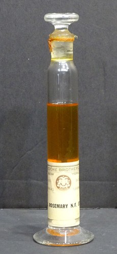 RARE! Antique FRITZSCHE BROTHERS Essential OIL ROSEMARY NF EXTRA Scent ...